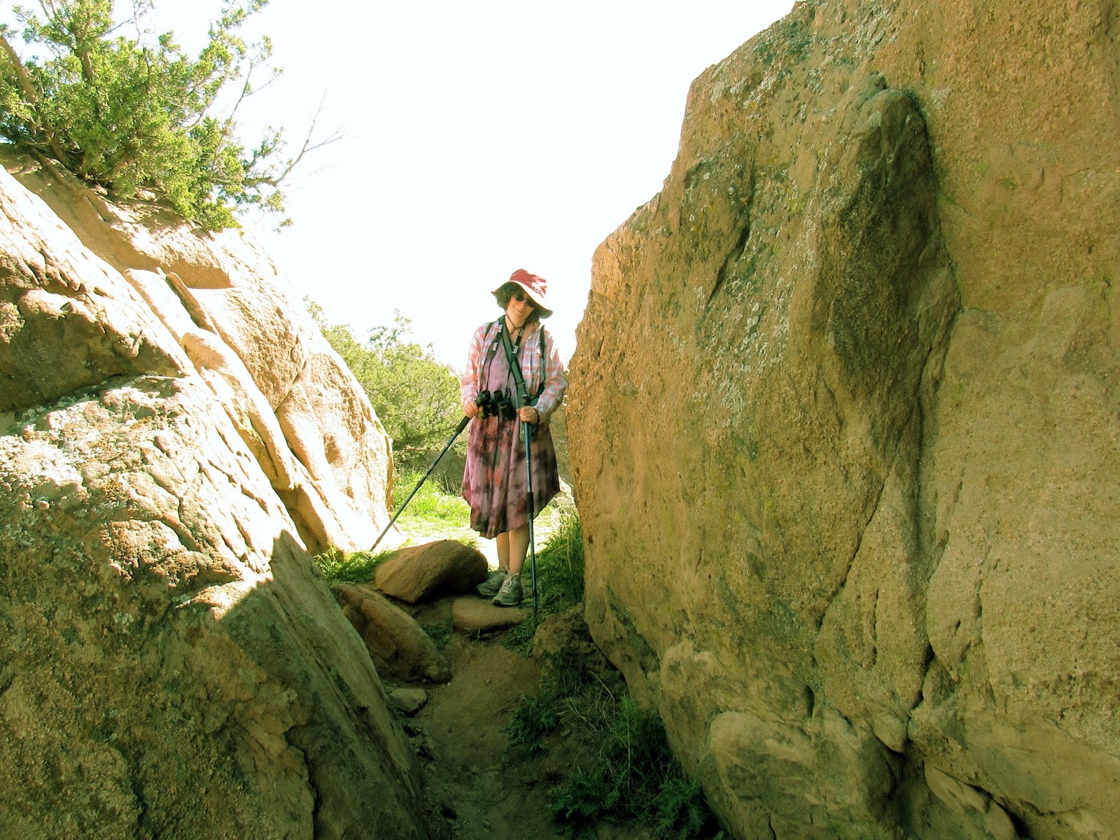 Coma Chameleon: My Recovery Chronicles: Breezing Through the Yawning ...