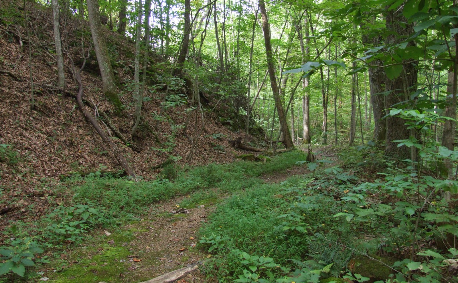 view from the thirteenth floor: the wilderness road