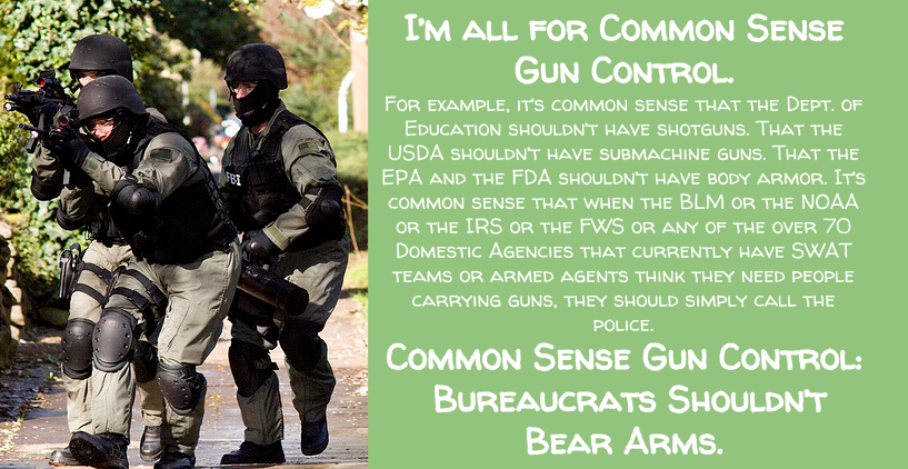 Applied Sarcasm: Common Sense Gun Control