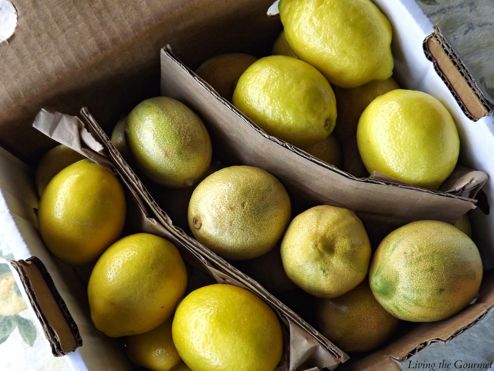 Grape and Lemon Frosty - Featuring Limoneira Lemons - Living The Gourmet