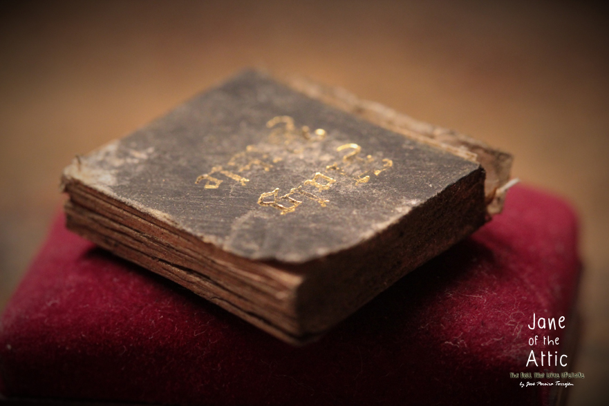 Rust and Steel: Jane's attic update No XLIX: An old bible.