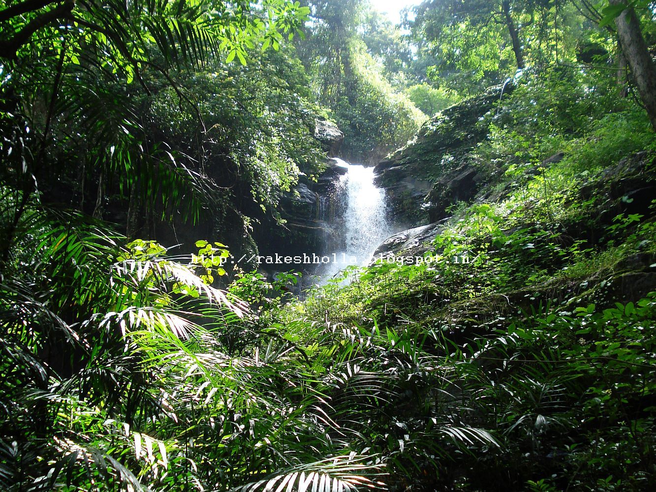 The Voice of Greenery - Trekking and Travelling in Western Ghats ...