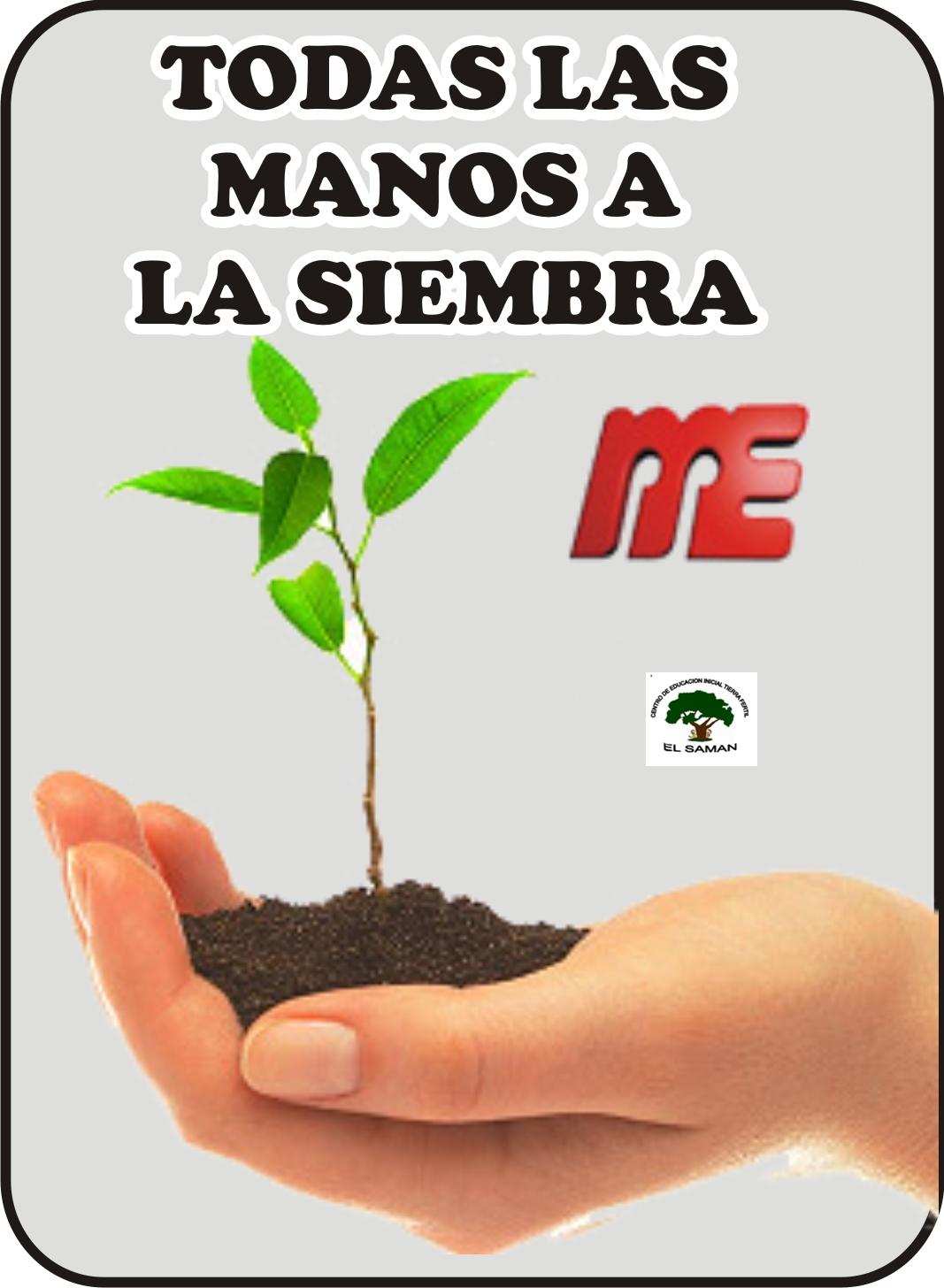 Tierra Fertil El Saman: Manos a la Siembra