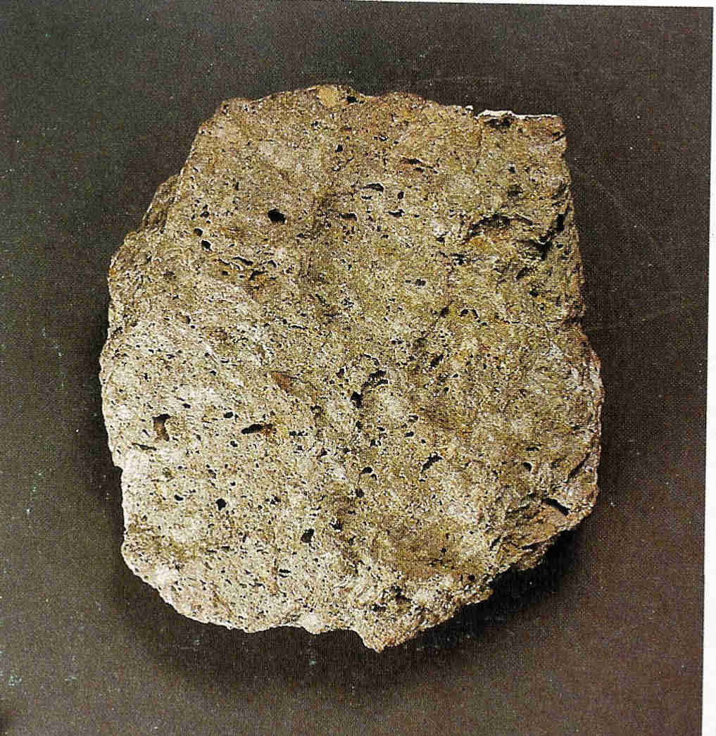 A la palestra : ROCA ÍGNEA VOLCÁNICA - RIOLITA