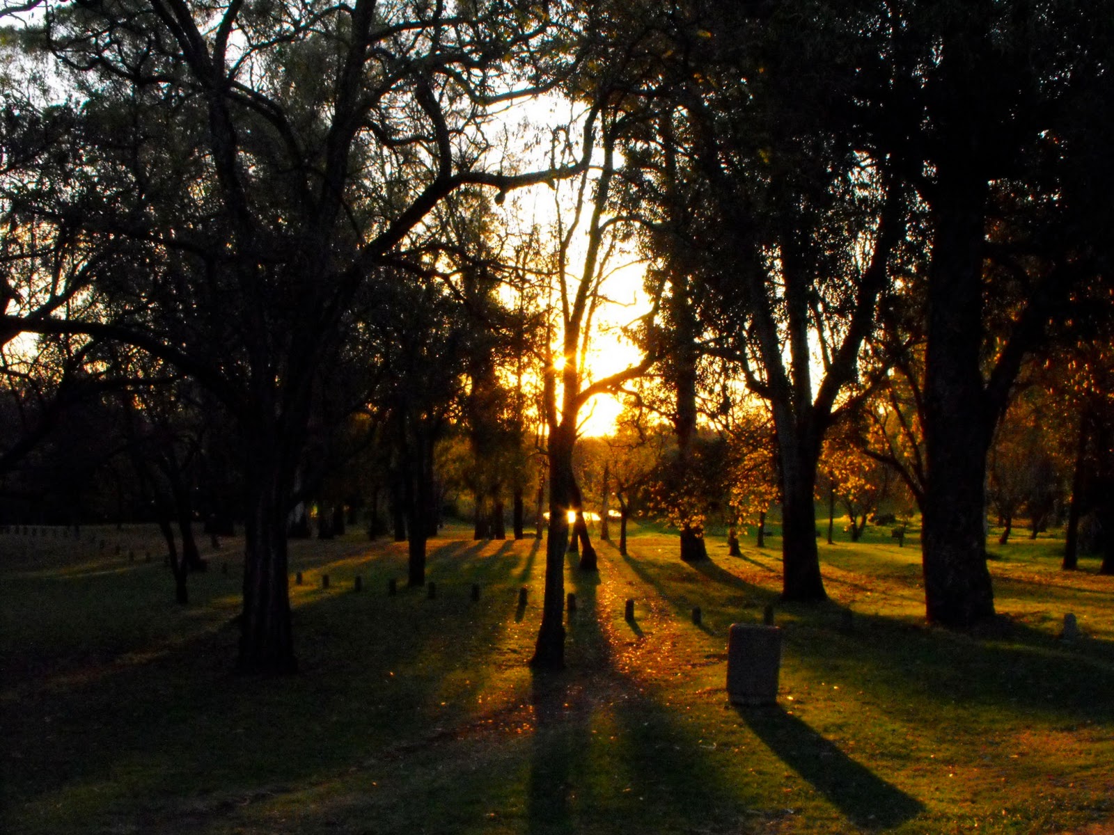 Joburg every day: Zoo Lake sunset