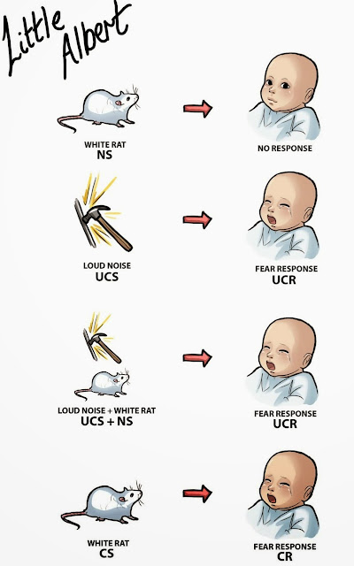 mindgames: "Little Albert" de Watson