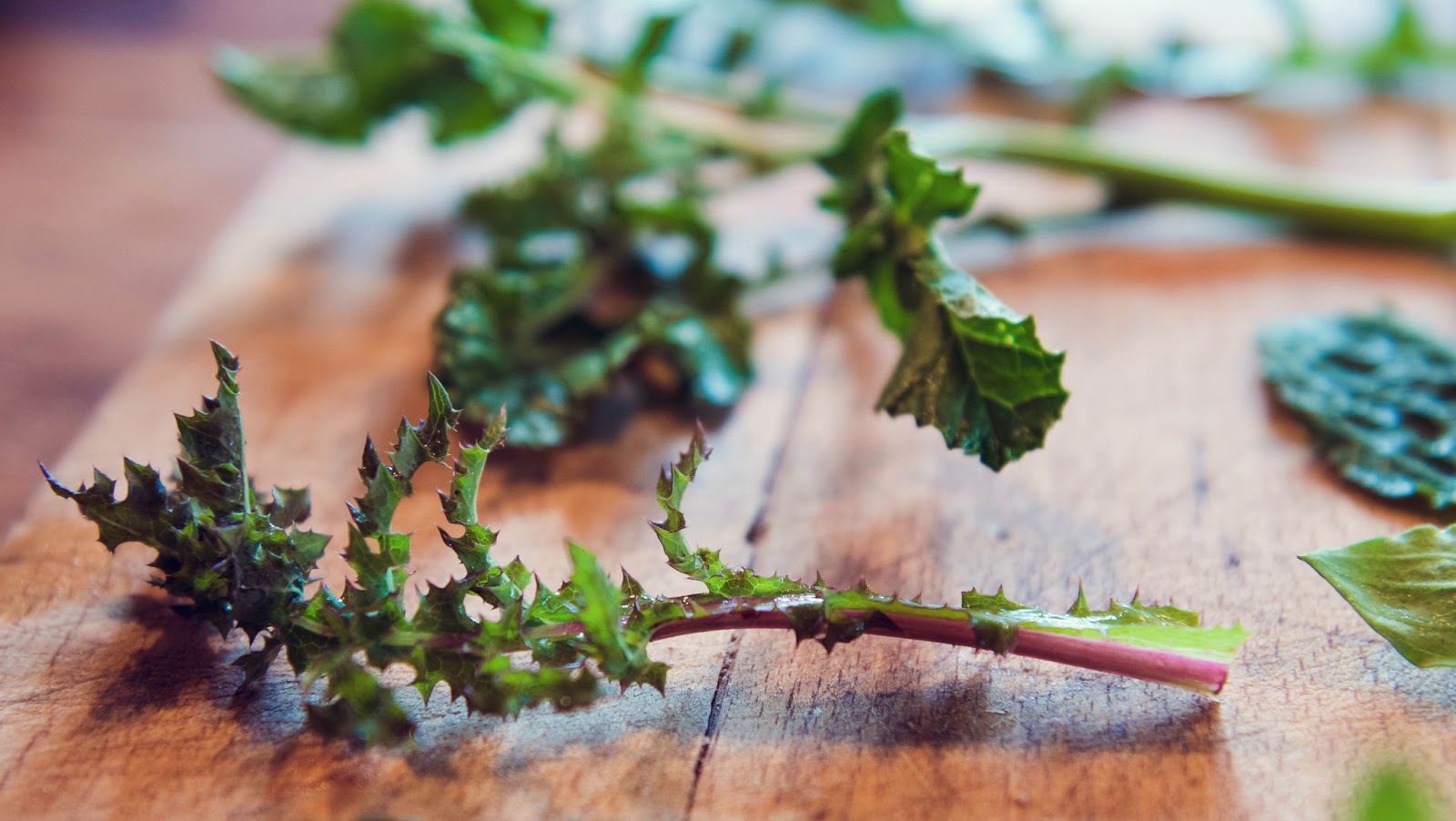 Identifying & Eating Wild Greens