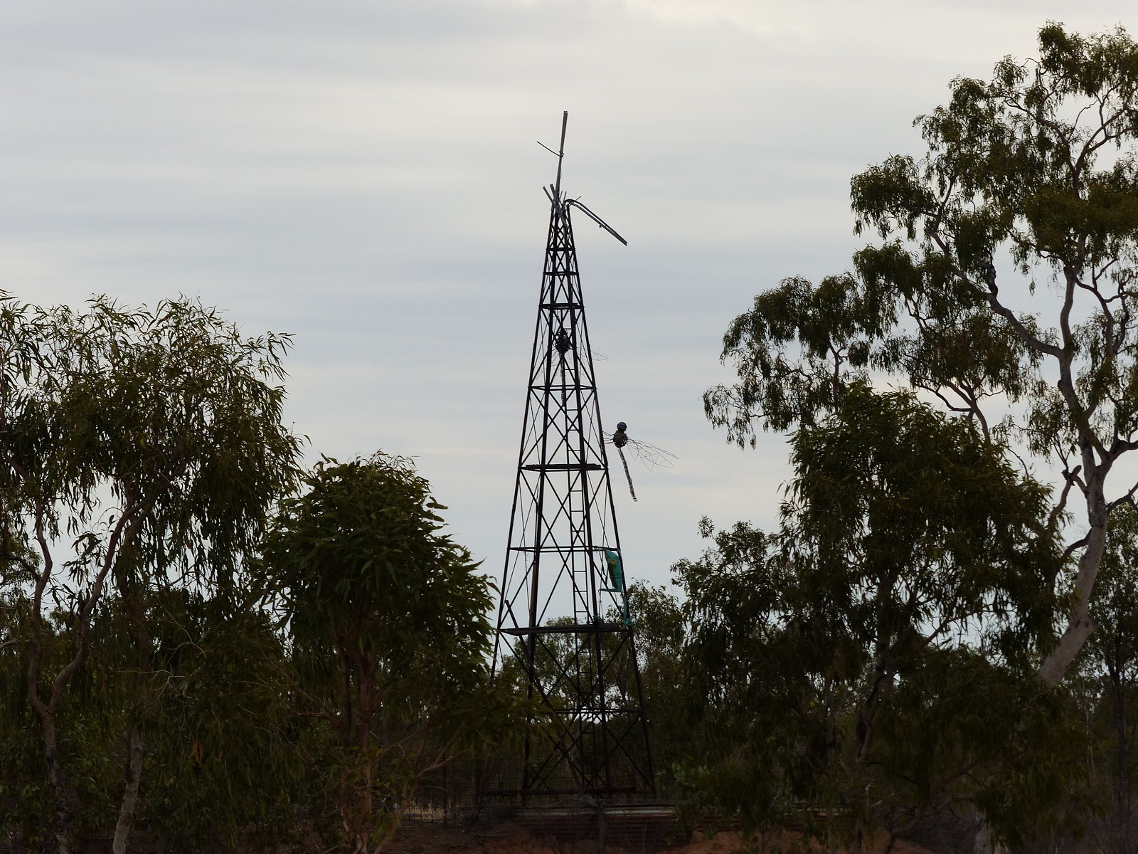 The Wandering Tops: Aramac, Sculpture Trail