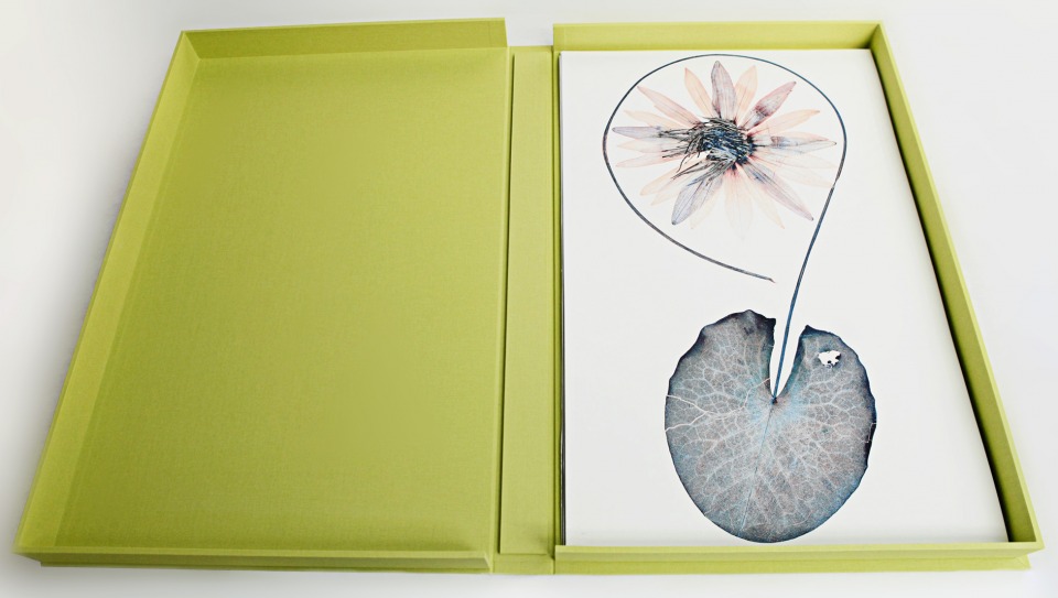 From The Skyline: Le photographe Nick Knight présente FLORA