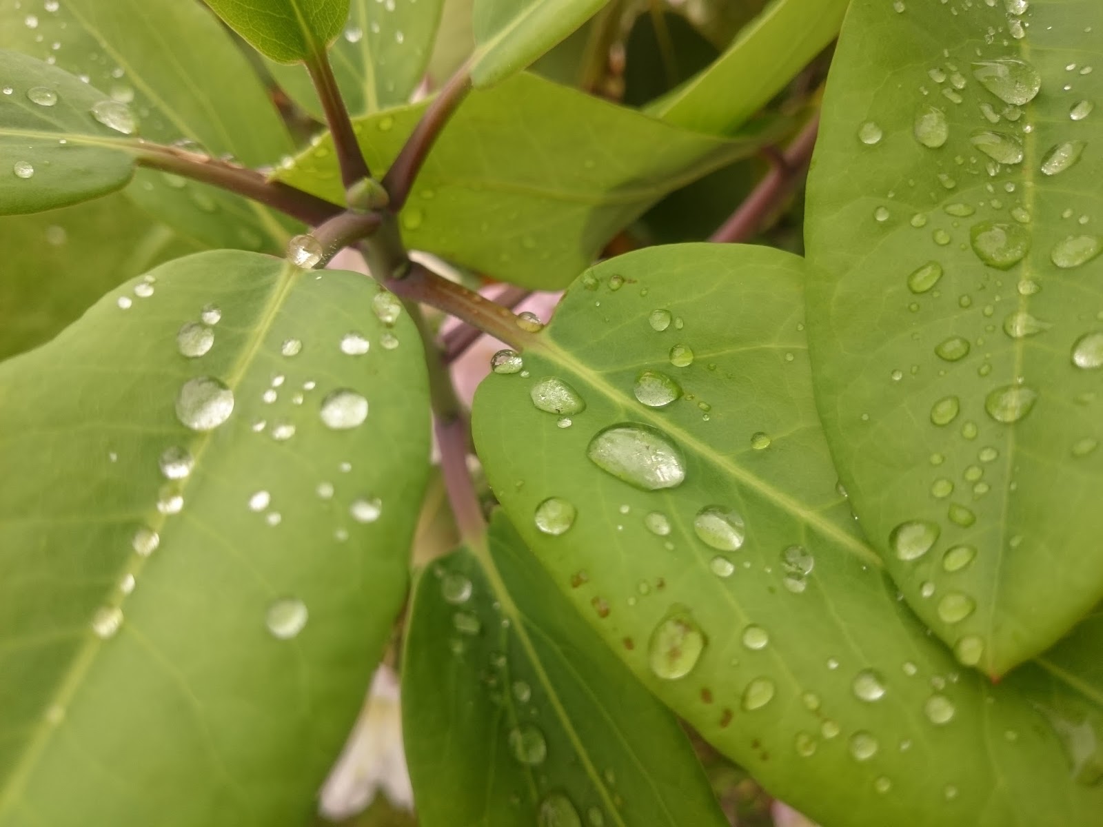 Some Creative Commons pictures I took