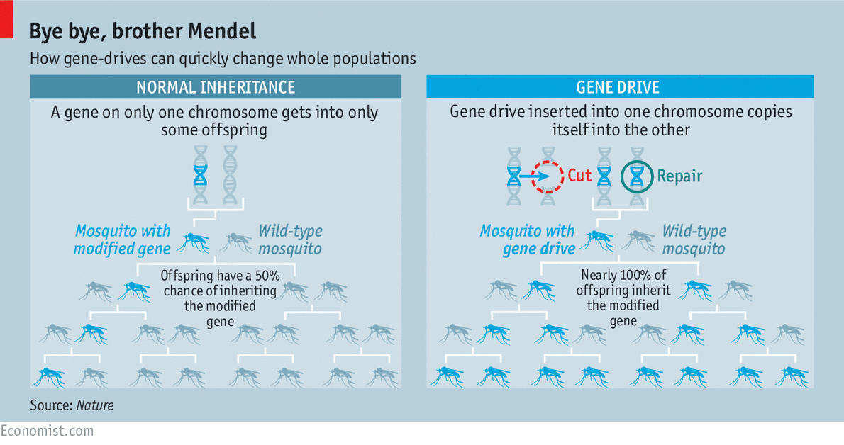 Are genetically modified organisms to the rescue? - Science in the City