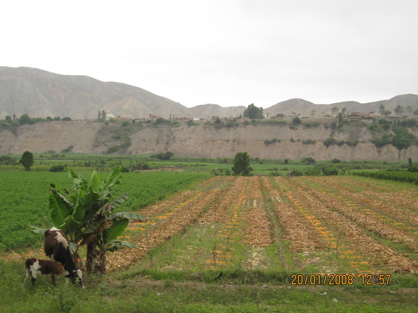 DISTRITO DE CALANGO ~ RECORRIDO VIRTUAL - CAÑETE PERÚ