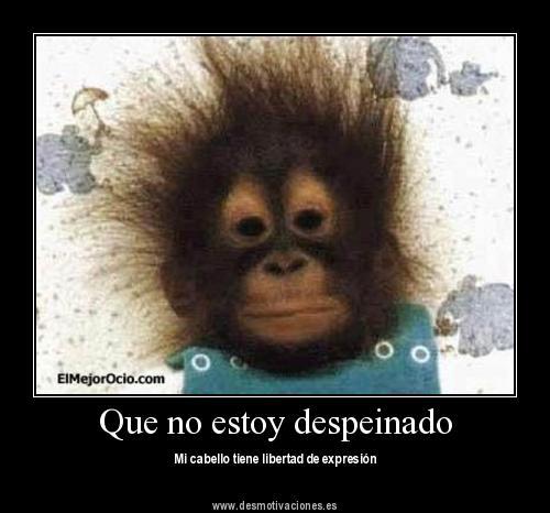 Changos feos con frases - Imagui