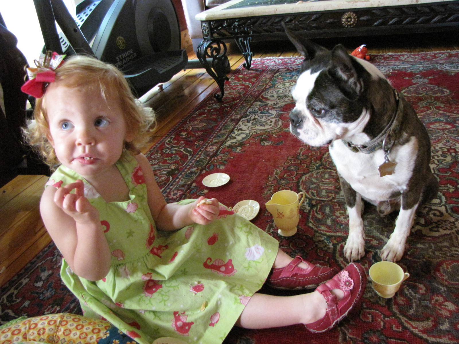 Liddy B. and me: A Boston (Terrier) Tea Party