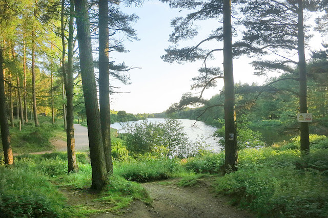 Best Osmotherley walk, via Cod Beck Reservoir & the Cleveland Way in ...