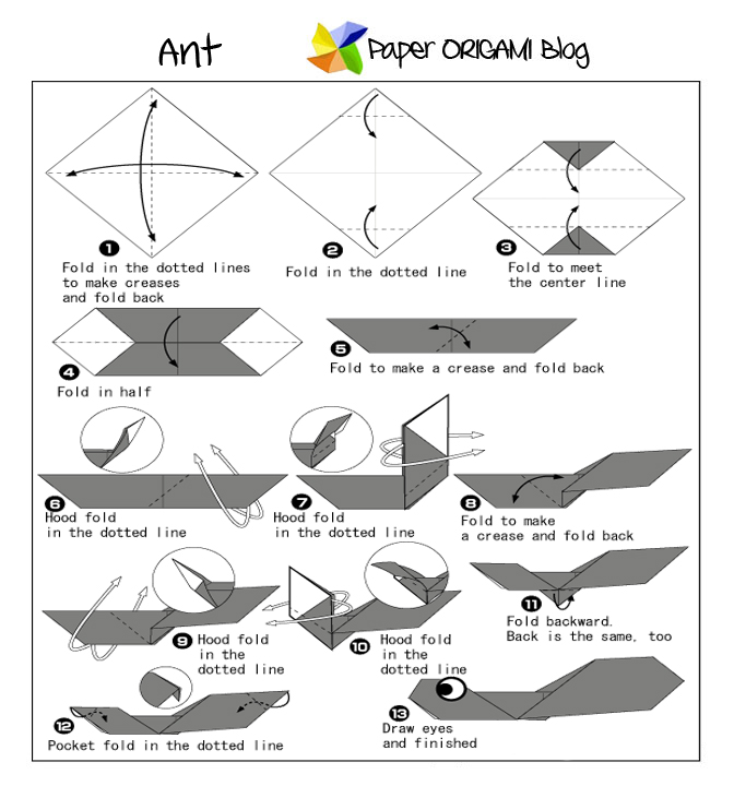 Ant Origami | Paper Origami Guide