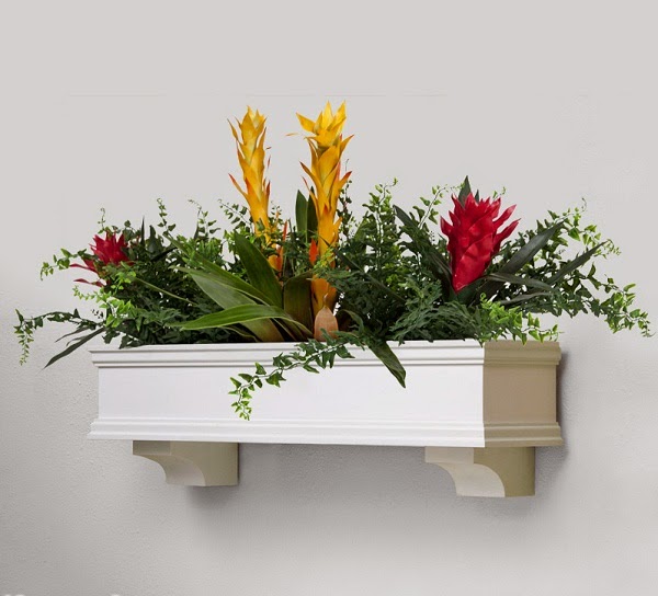 PLANTER WALL @ TANAMAN DINDING ~ Rumah Idaman