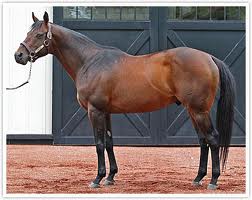 Caballos: Caballos PSI