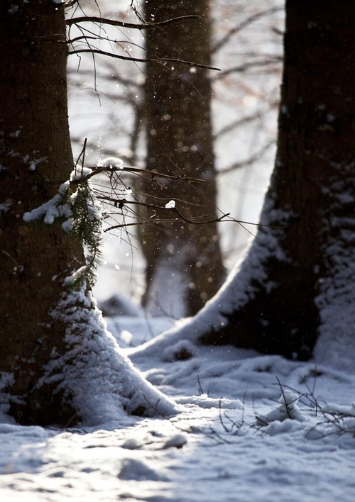 Love, at love me two times Vintage