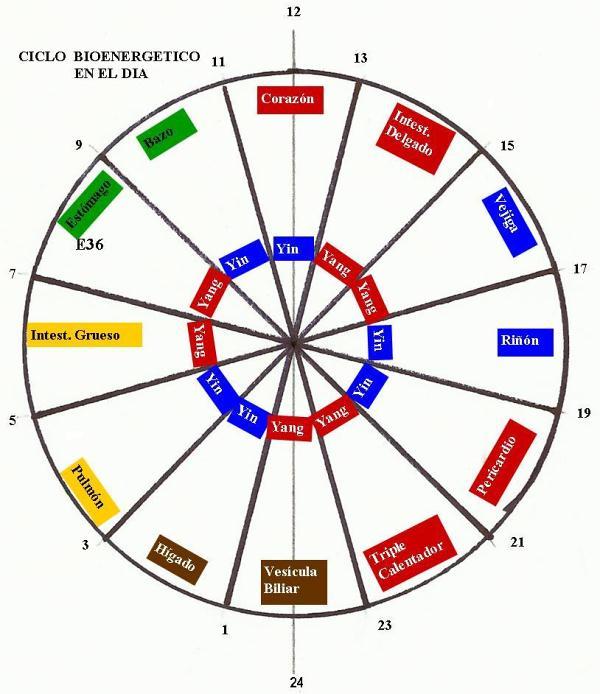 Organizador Grafico Reloj Cronologico: Qué Es Y Características ...