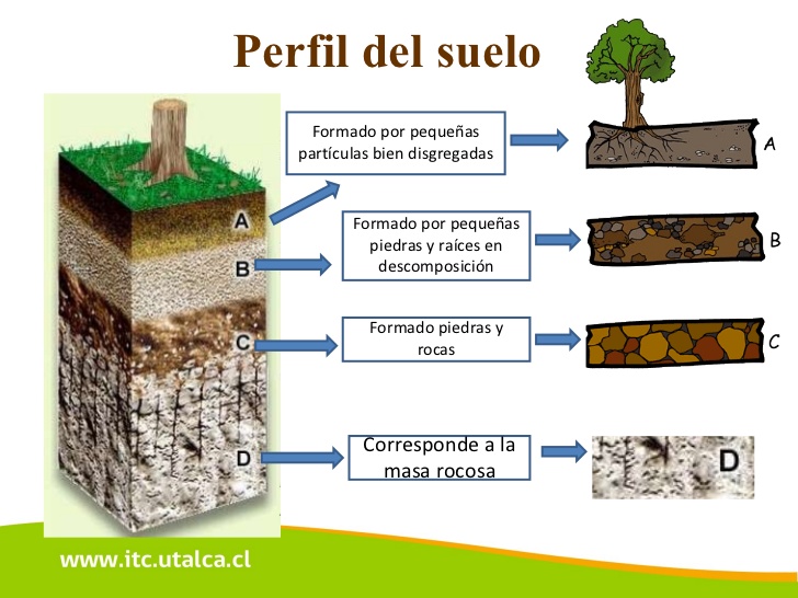 GEOLOGÍA: SUELOS