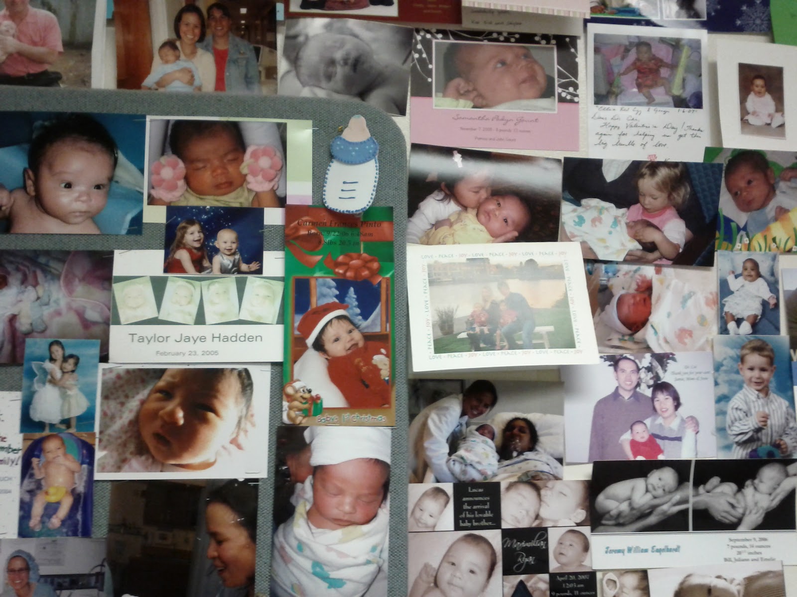 Pap Smear Fear | How to Cope if You Have Had Trauma (or not) - Healing ...