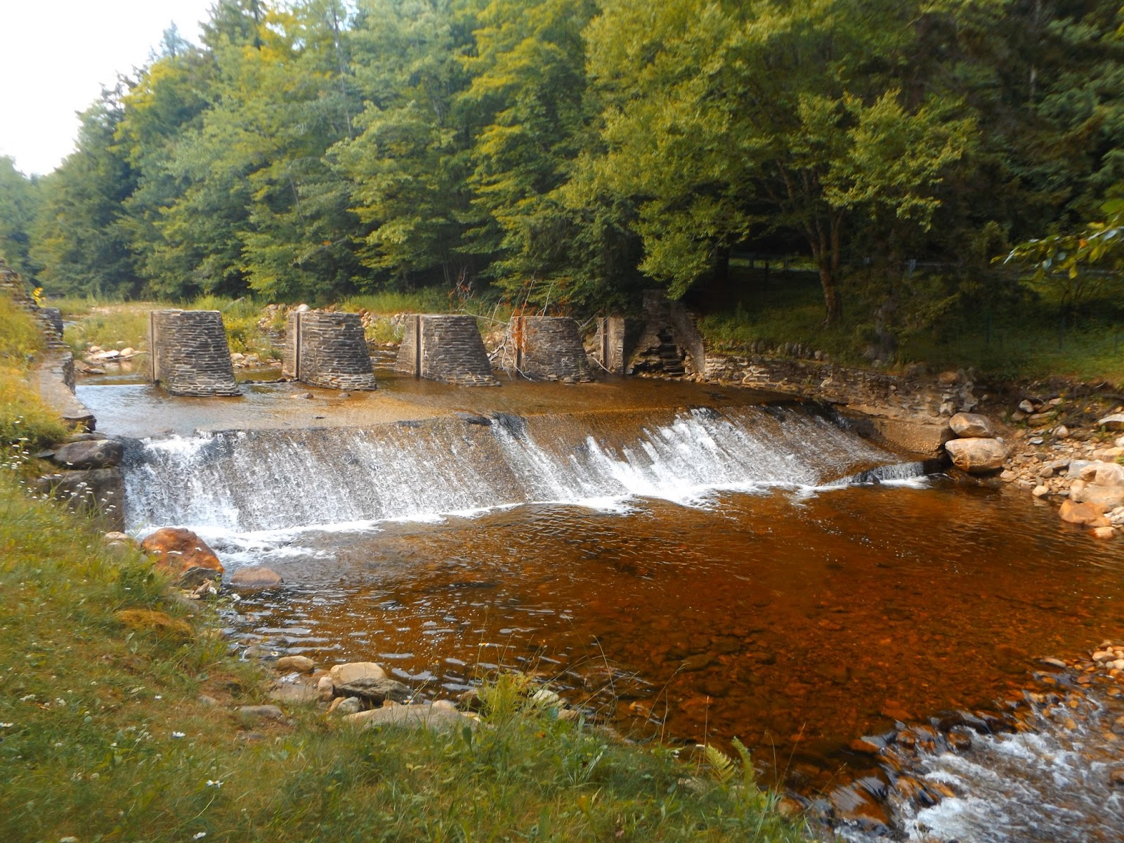 Walking Man 24 7: Savoy Mountain State Forest(Northern Berkshires)