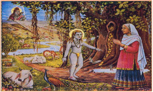 Indubindu: Wallpapers Of Baba Balak Nath Ji