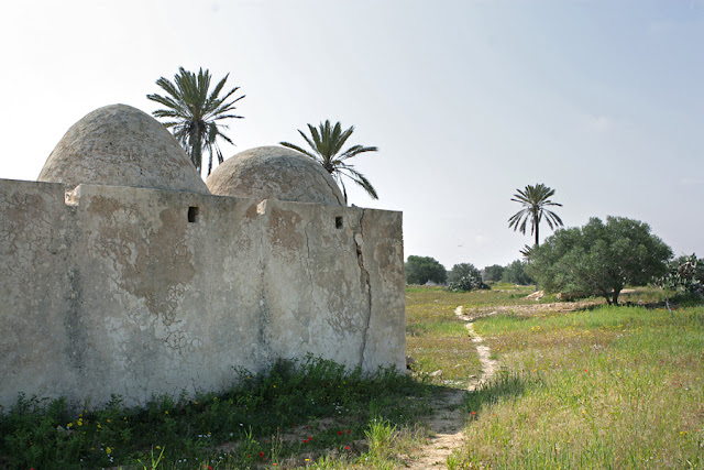 del MEDITERRÁNEO: TUNISIA. ISLAND OF DJERBA. HOUMT SOUK, MIDOUN ...