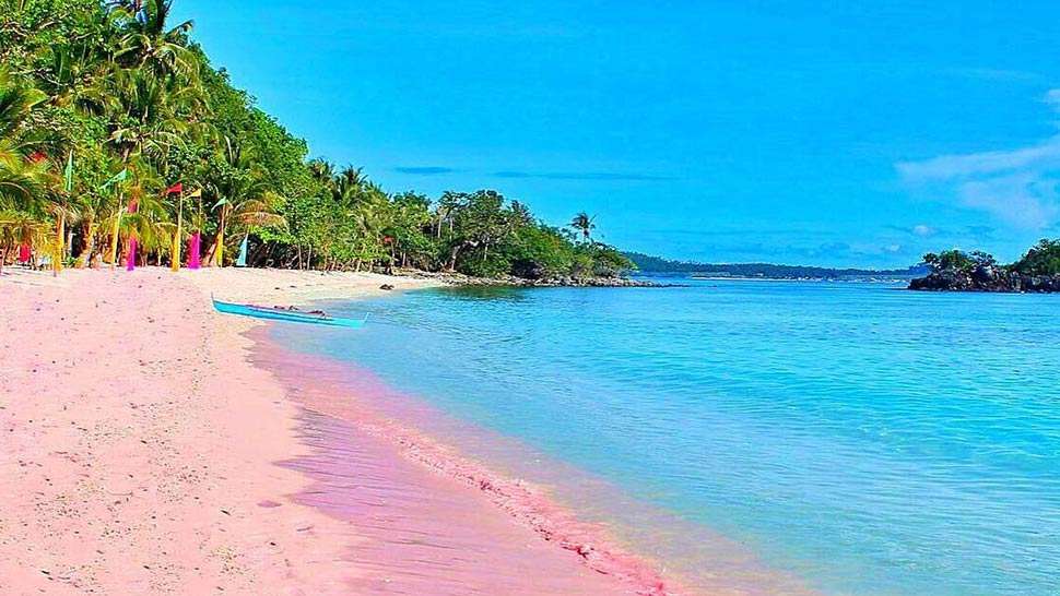 IT'S SUMMER TIME! AMAZING PINK BEACHES HERE IN THE PHILIPPINES - It's ...