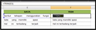 MENGGUNAKAN FUNGSI TRIM PADA EXCEL - Nanang Blog
