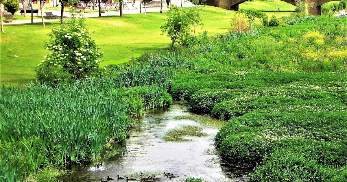 Si se calla el cantor: Mendaces y miserables.