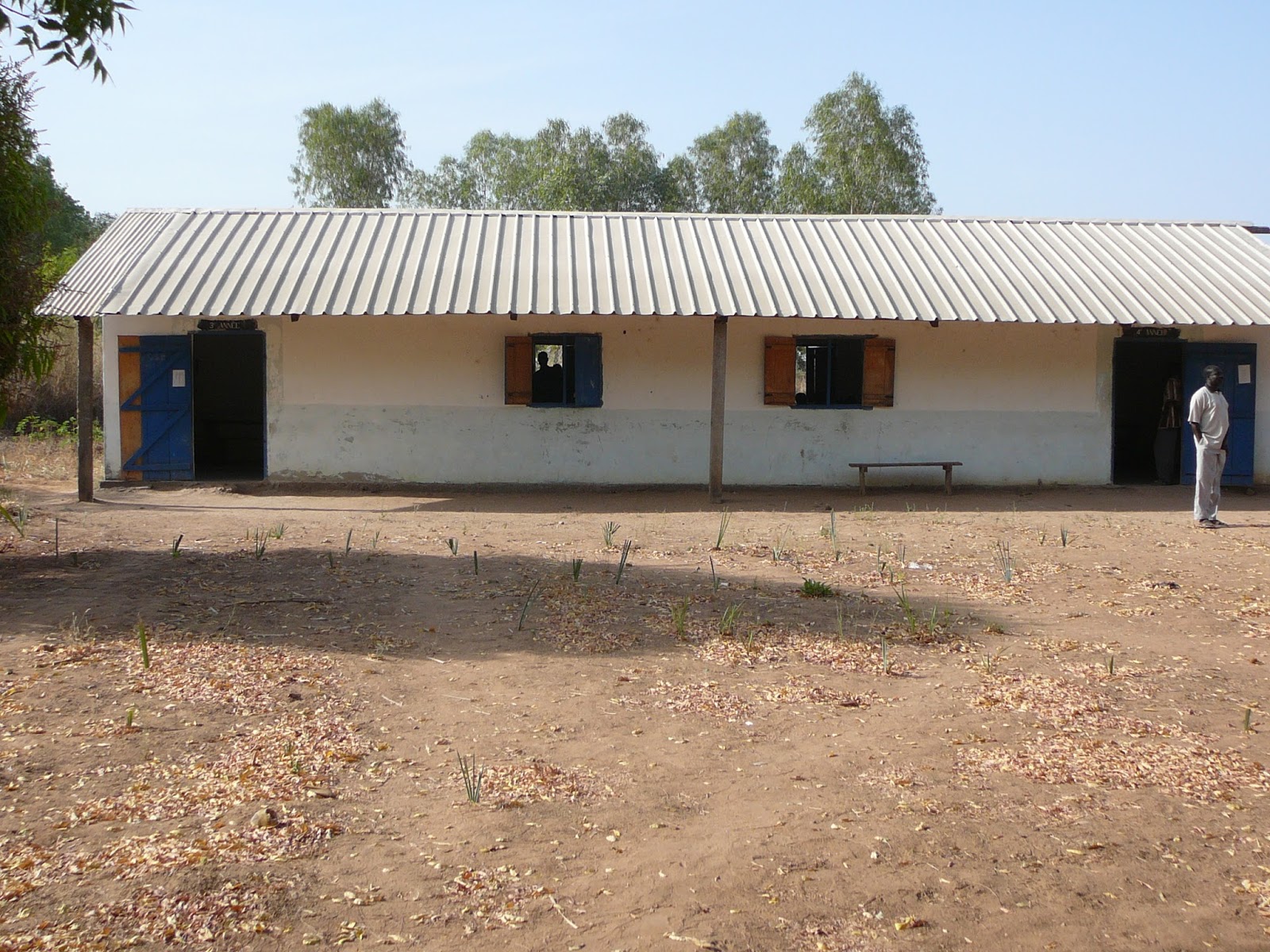 Informe del Proyecto Badjé, Chad (Entretejiendo-Pala)