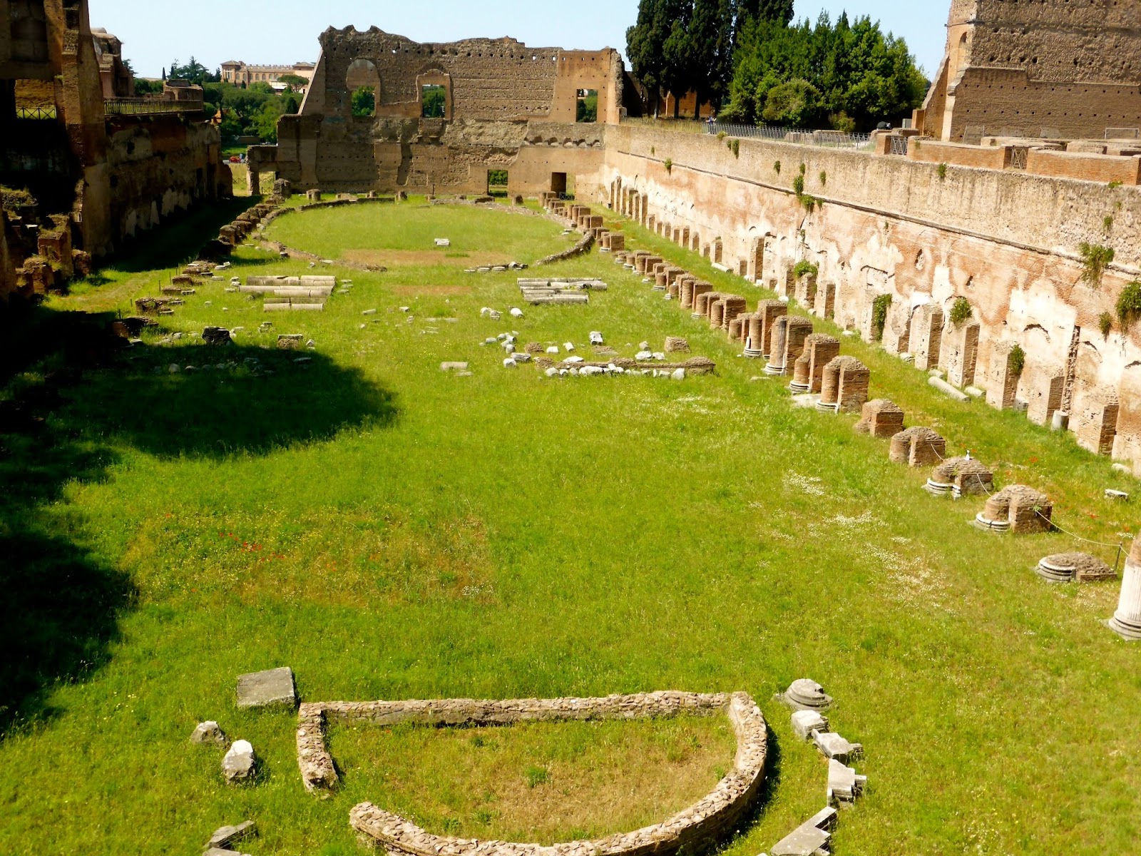 Facciamo un giro in centro?: PALATINO