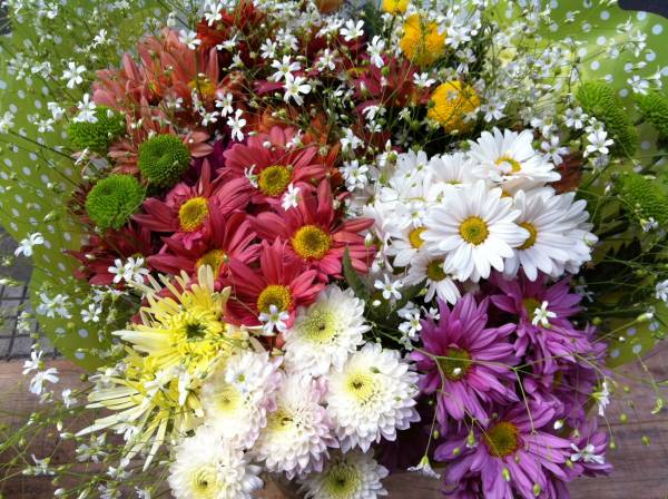 BIBOCA AMBIENTAL : Setembro 2012