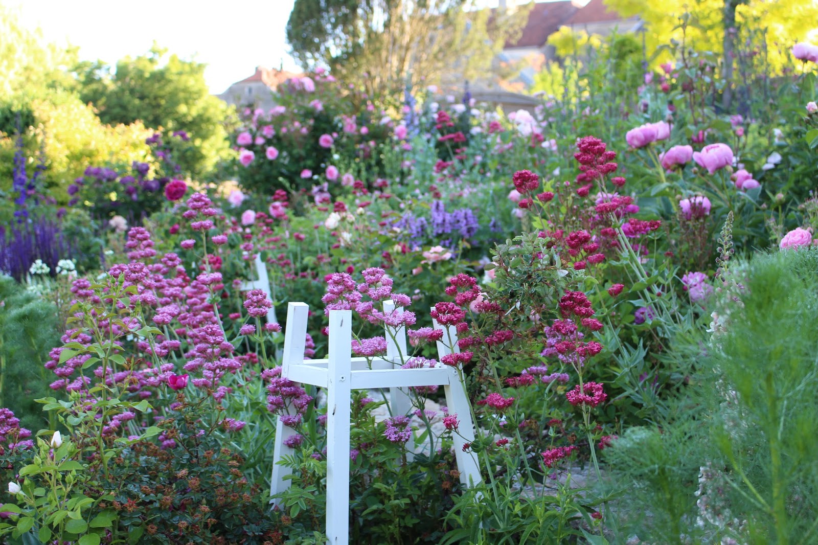 Notre jardin secret.: Le pouvoir des fleurs