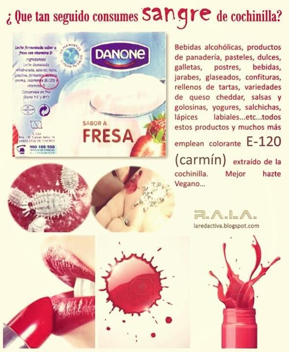 Ciencias Naturales CEUJA 2015: ¿QUÉ ES EL CARMÍN Y DE DONDE VIENE?