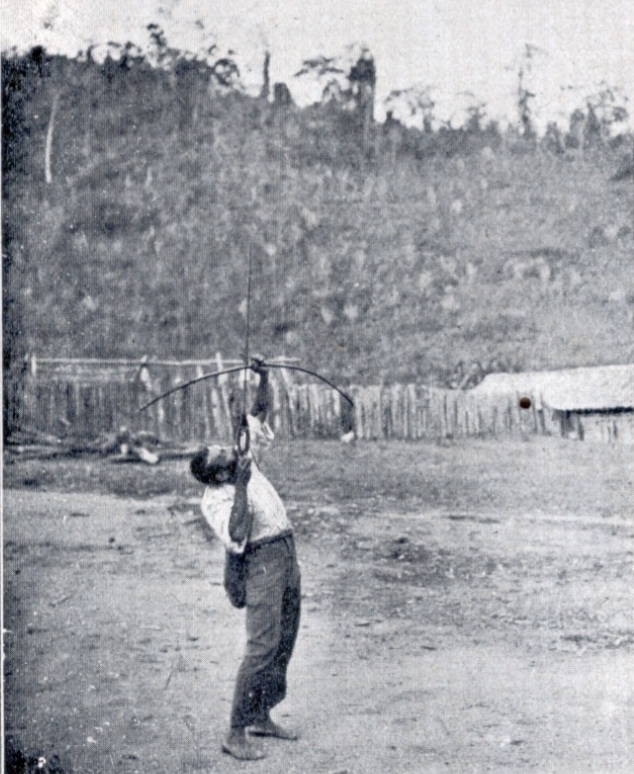 Índios Puris: Cultura Puri