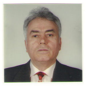 Profesor Constantin Luca