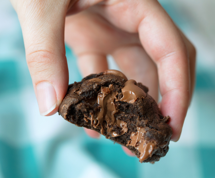 The Craft Patch Chocolate Cookies the-craft-patch-chocolate-cookies