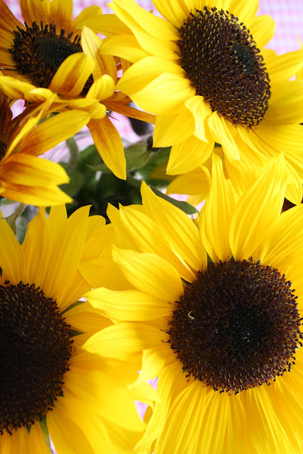 Sunny Simple Life: Make Cut Sunflowers Last Longer