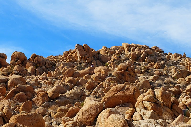 Happy French Gang BLOG: JOSHUA TREE + PALM SPRING.