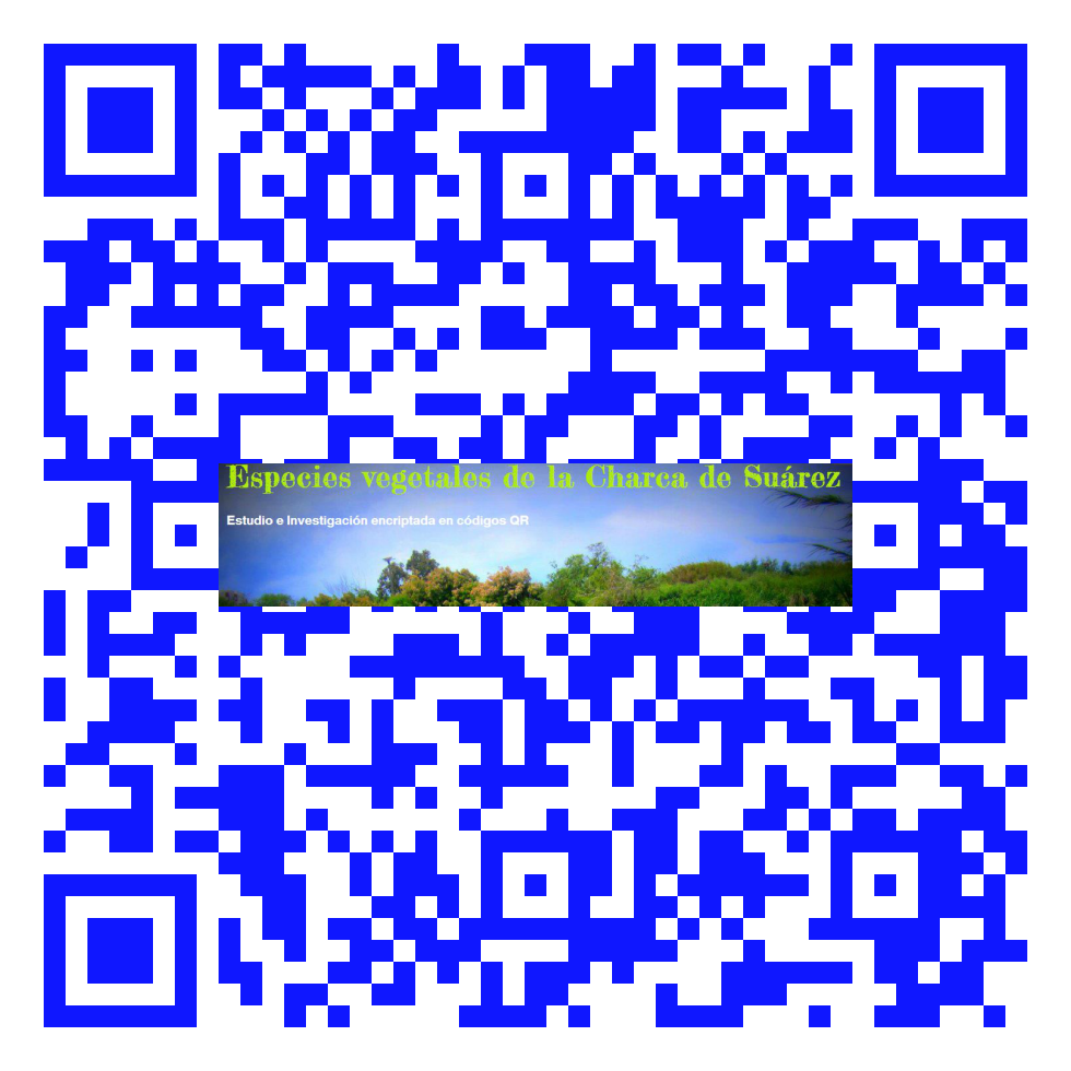 Comenzamos Programa Profundiza “Especies vegetales de la Charca de ...