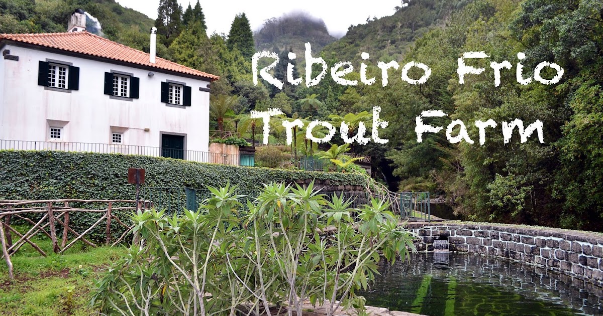 Katie Wanders : Ribeiro Frio Trout Farm - Madeira Island
