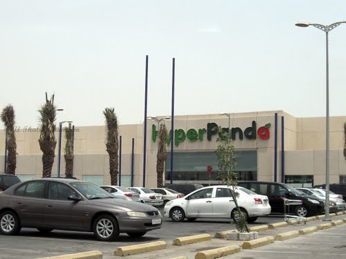 Benchichs Abroad! Our Arabian Adventure: Exploring Off Camp