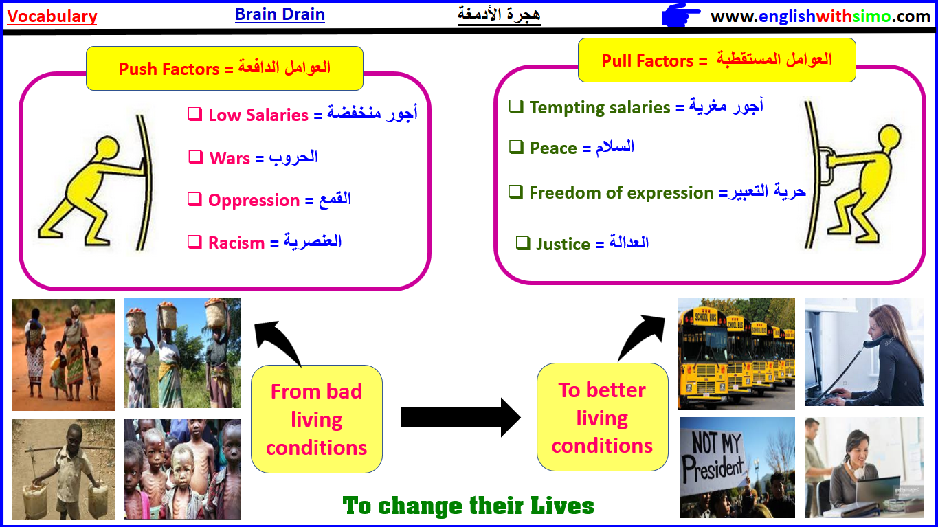 Brain Drain Vocabulary English brain-drain-vocabulary-english