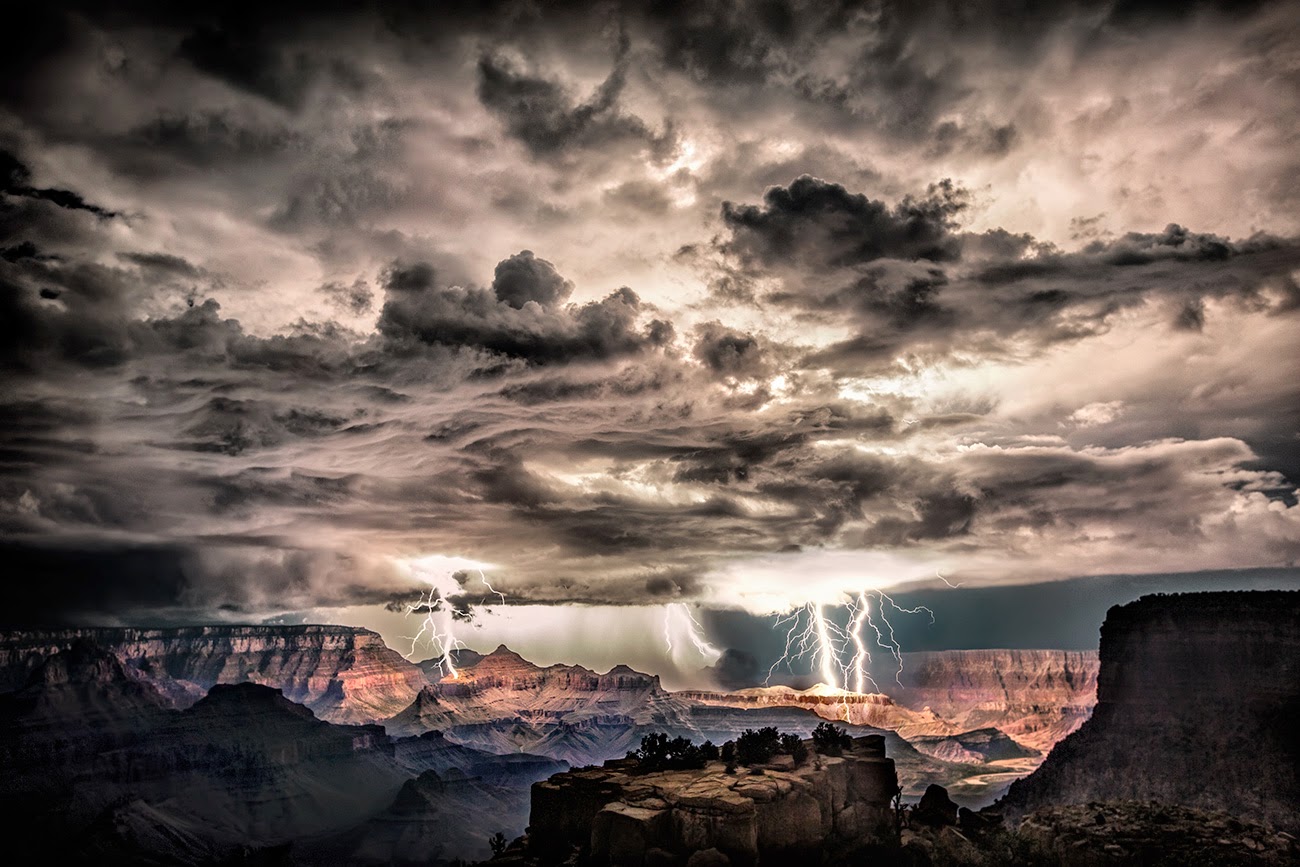 :: Alexandra Proaño 3D - Green Pear Diaries ::: Scott Stulberg, la ...