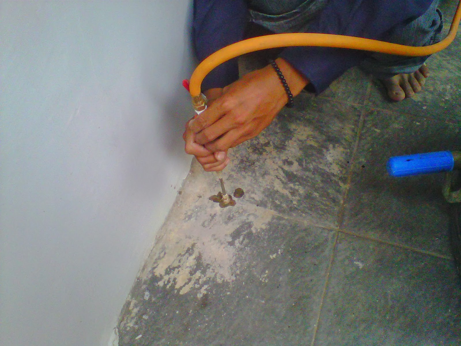 JASA ANTI RAYAP: Jasa pengendalian rayap / anti Rayap (termite control)