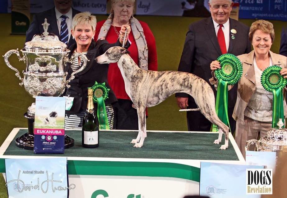 Hrtovi: Crufts 2018