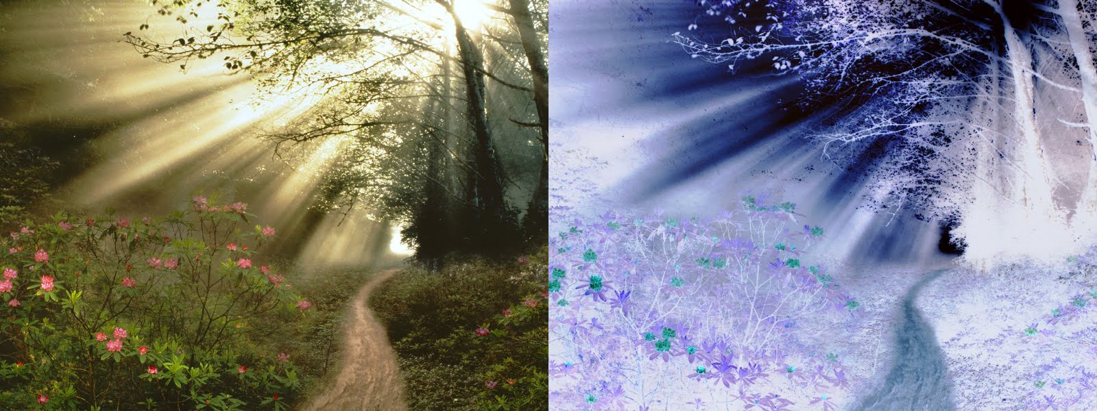 Inverting Image Brightness | Lost In Neurons